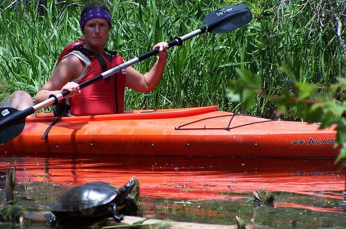 Alligator River Kayak Adventure - FAQs