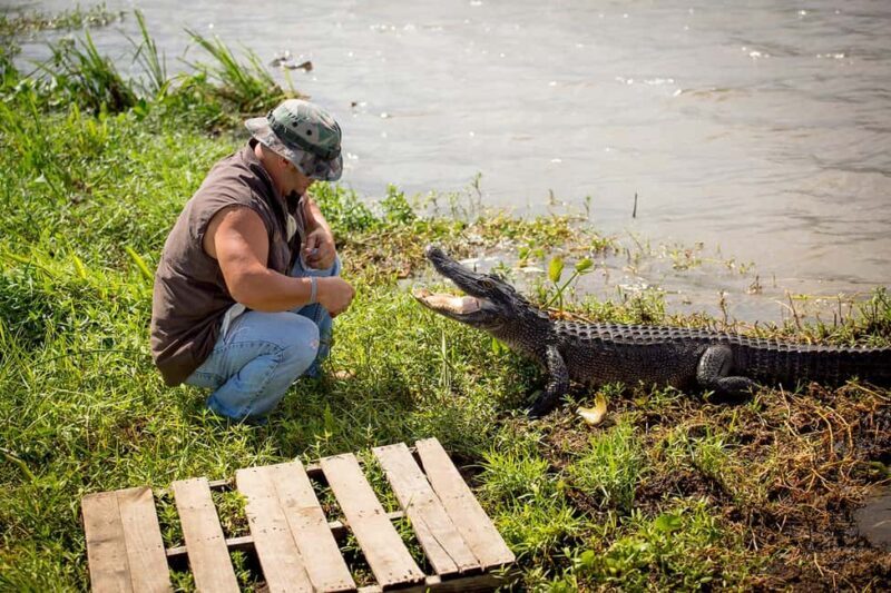 Alligator Swamp Tour by Gray Line New Orleans - Introduction: First Impressions of the Swamp Experience