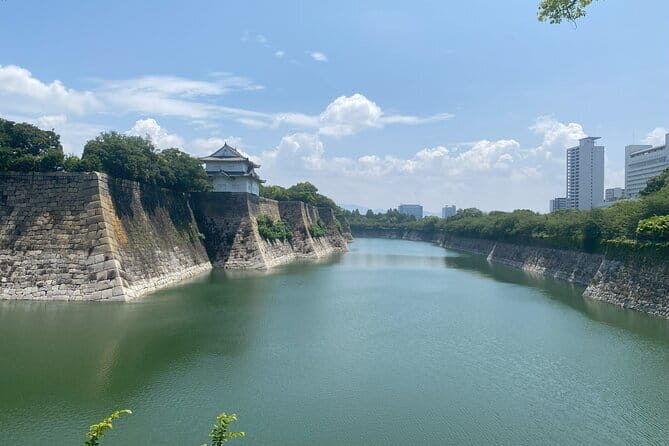 Allure of Osaka Walking Day Tour with a local guide - Namba and the Market Districts