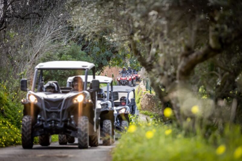 Almancil: Algarve Guided Off-Road Buggy Adventure - FAQ