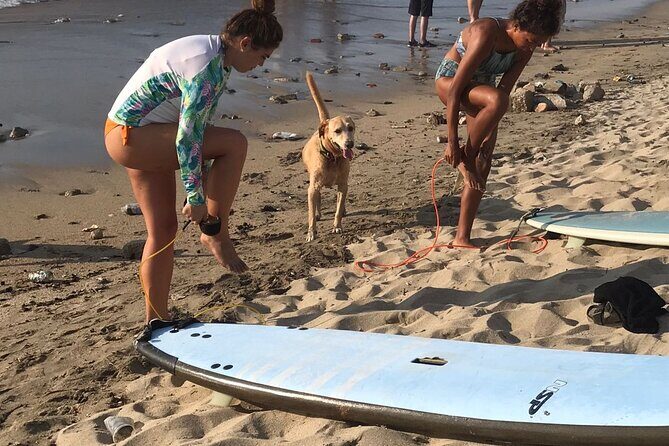 Almar Surf & Skate School: Surflessons in Bahia de Banderas - The Value Proposition