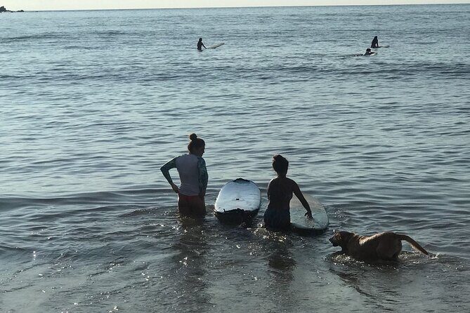 Almar Surf & Skate School: Surflessons in Bahia de Banderas - Deep Dive into the Experience