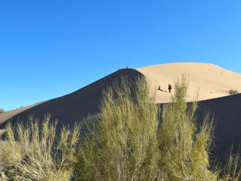 Almaty: 2-Day Altyn-Emel National Park Tour with Meals - Final Thoughts: Value in Every Mile