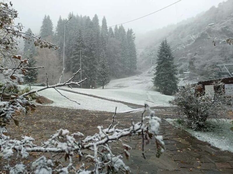 Almaty: 6-Day private Adventure Tour - Discovering Almaty: The City and Its Charms