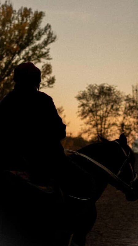 Almaty: Custom city tour, Shymbulak & Horseback-riding - Key Points