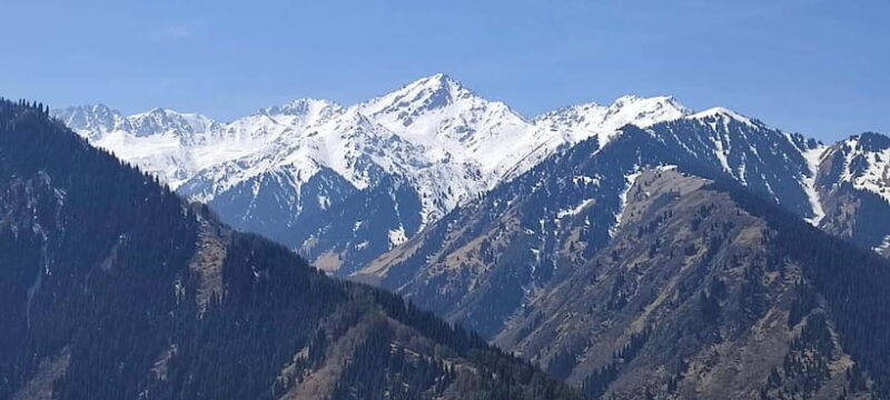 Almaty: Falconry show and Big Almaty Gorge - Authenticity and Guide Quality