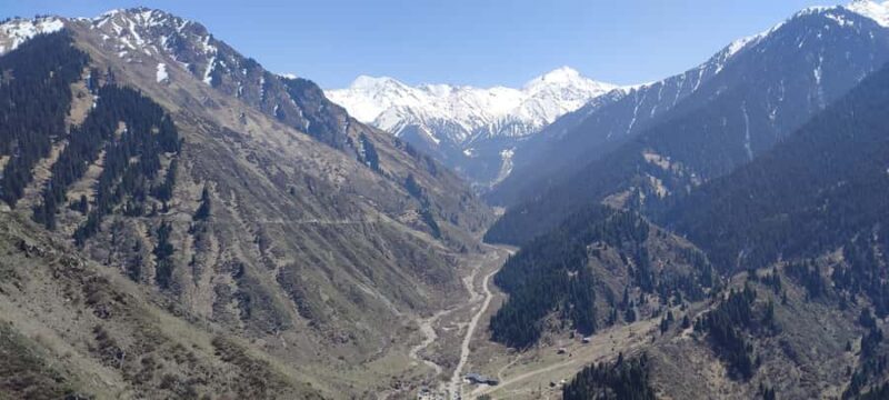 Almaty: Hiking the Japanese Road and Wild Hunting Birds Show - Overview of the Experience