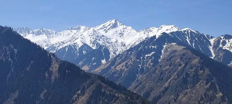 Almaty: Hiking the Japanese Road and Wild Hunting Birds Show - Value and Pricing