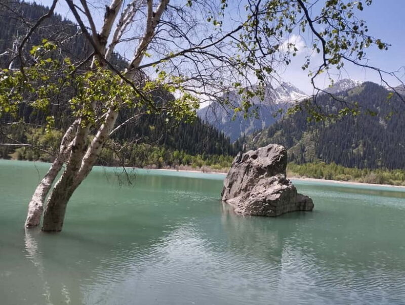 Almaty: Issyk Lake and Turgen Gorge Waterfall Day Tour - Who Is This Tour Best For?