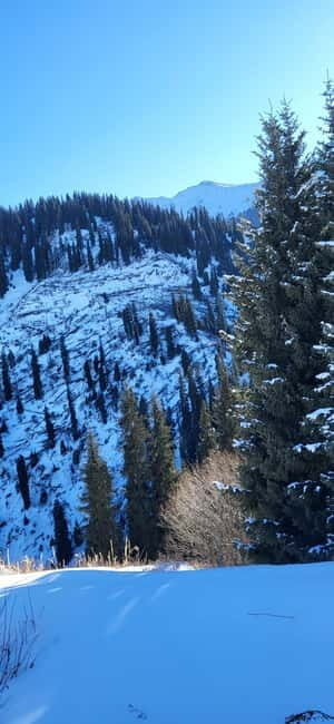 Almaty: Kim Asar Mountains and Waterfall Hiking Tour - A Deep Dive into the Experience