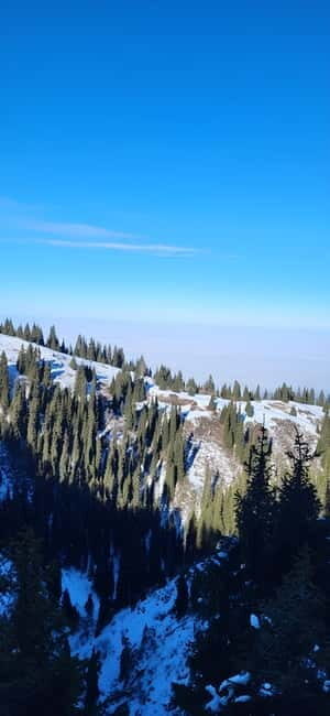 Almaty: Kim Asar Mountains and Waterfall Hiking Tour - Why Consider This Tour?