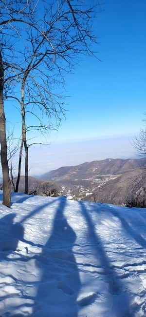 Almaty: Kok Zhailau Mountain and Batareika Waterfall Hike - An In-Depth Look at the Experience