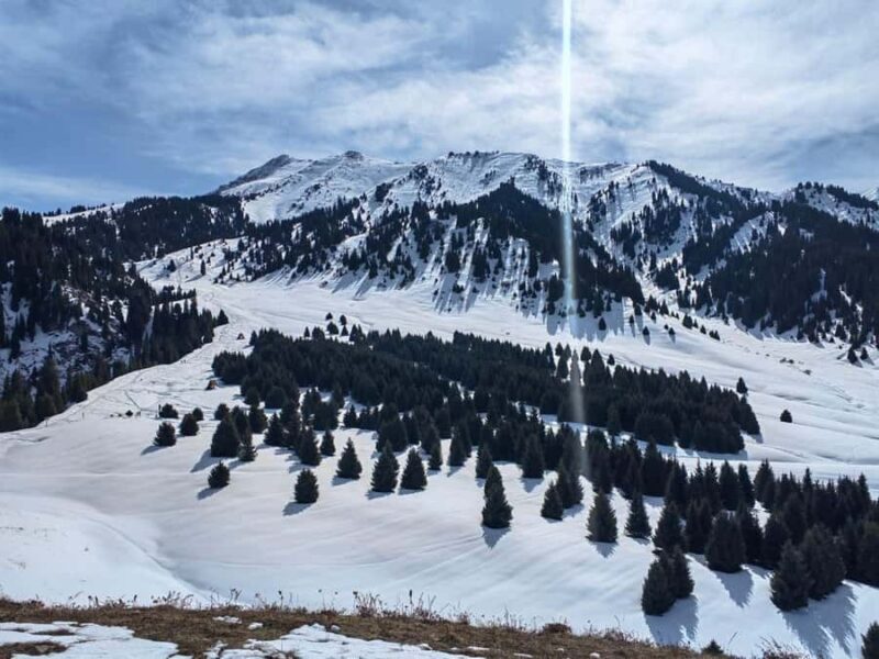 Almaty: Moderate hiking to Kok Zhailau - A Closer Look at the Itinerary and Experience