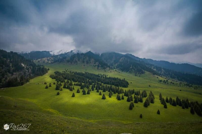 Almaty: Moderate hiking to Kok Zhailau - The Value of This Experience