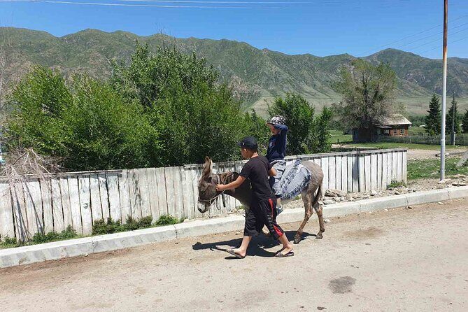Almaty Region 3 Days Tour from Almaty - An In-Depth Look at the Tour Experience