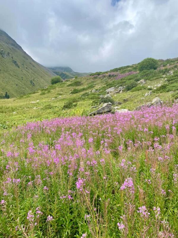 Almaty: Shymbulak Ski Resort and Medeu Skating Rink Tour - FAQ