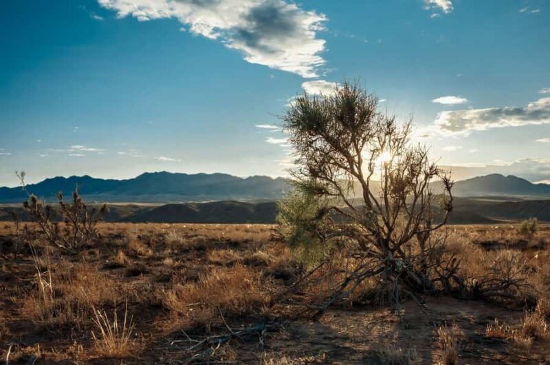 Almaty: Singing Dune 1-Day Private Adventure - FAQ