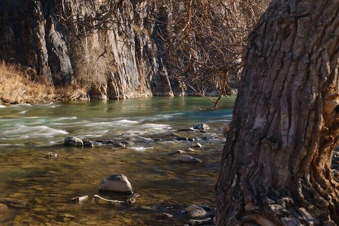 Almaty Wonders Charyn Canyon and Kolsay Lake in One Day - Who Is This Tour Best For?