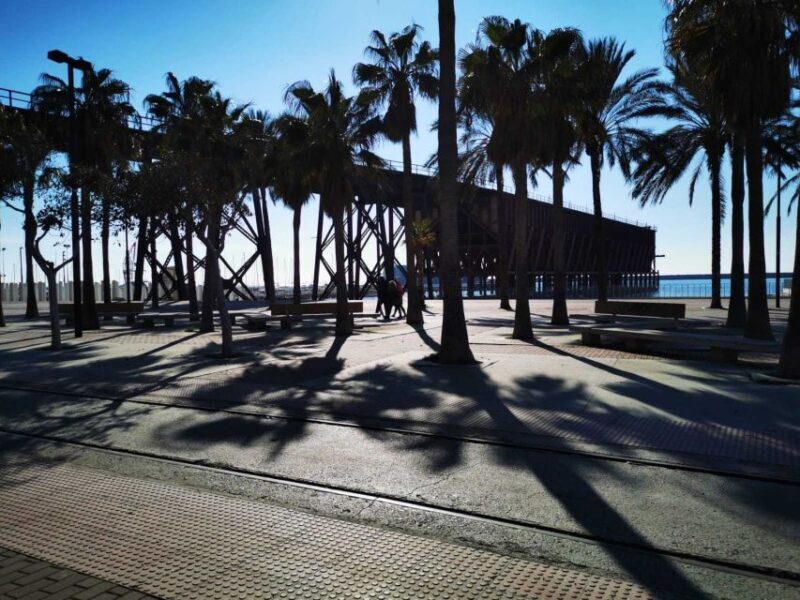 Almería: Guided City Discovery Tour - Practical Details and Tips