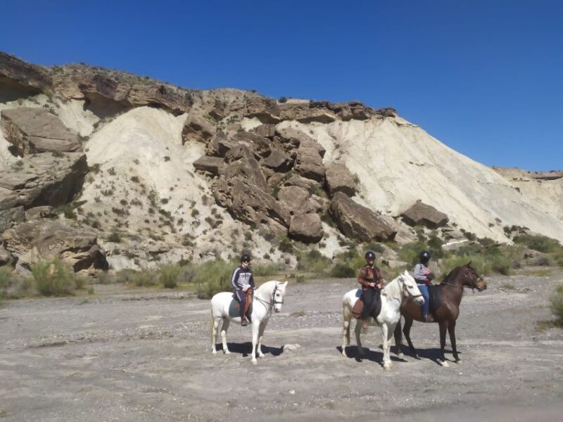 Almeria: Horse Riding Tour Through the Tabernas Desert - Key Points