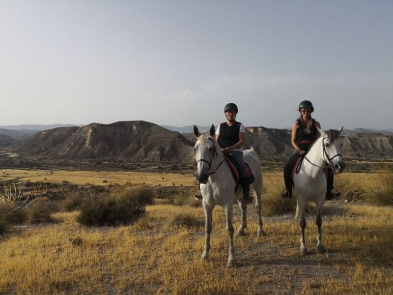Almeria: Horse Riding Tour Through the Tabernas Desert - An Honest Look at the Horse Riding Adventure