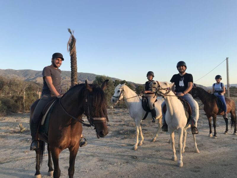 Almeria: Horse Riding Tour Through the Tabernas Desert - Practical Details and What to Expect