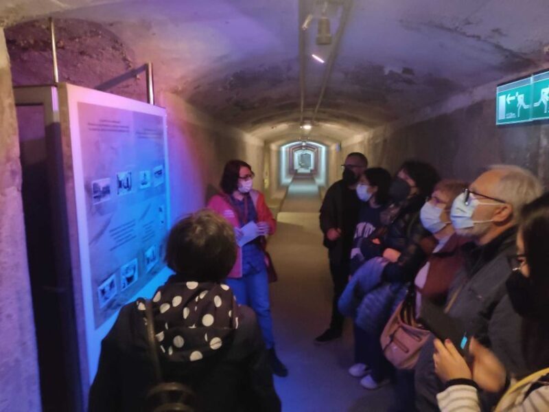 Almeria: Spanish Civil War Shelters Ticket and Official Tour - Key Points
