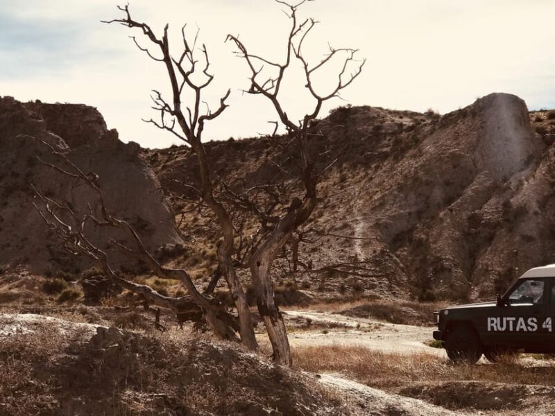 Almeria: Tabernas Desert 4x4 Tour - Almeria: Tabernas Desert 4x4 Tour — A Rugged Ride Through Film History and Eroded Lands