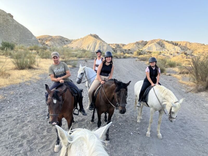 Almeria: Tabernas Desert Horse Riding for experienced riders - Almeria: Tabernas Desert Horse Riding for Experienced Riders