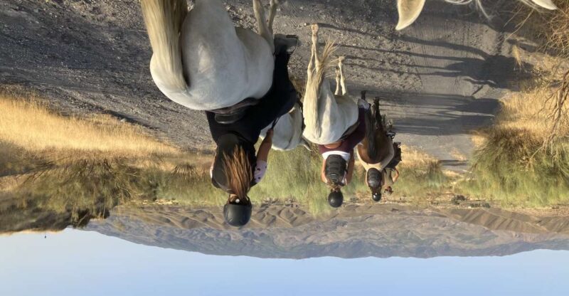 Almeria: Tabernas Desert Horse Riding for experienced riders - Key Points