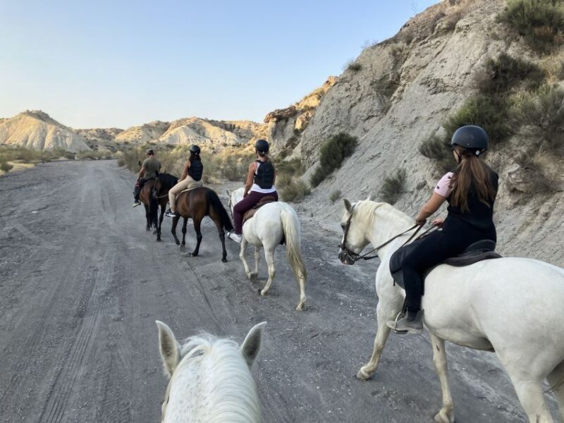 Almeria: Tabernas Desert Horse Riding for experienced riders - The Ride: What Makes It Special