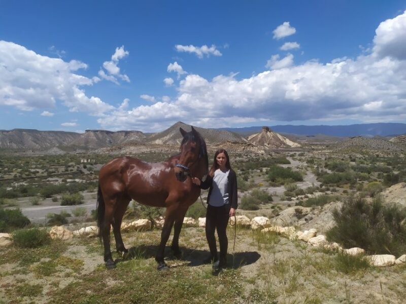 Almeria: Tabernas Desert Horse Riding for experienced riders - What You Should Know Before Booking