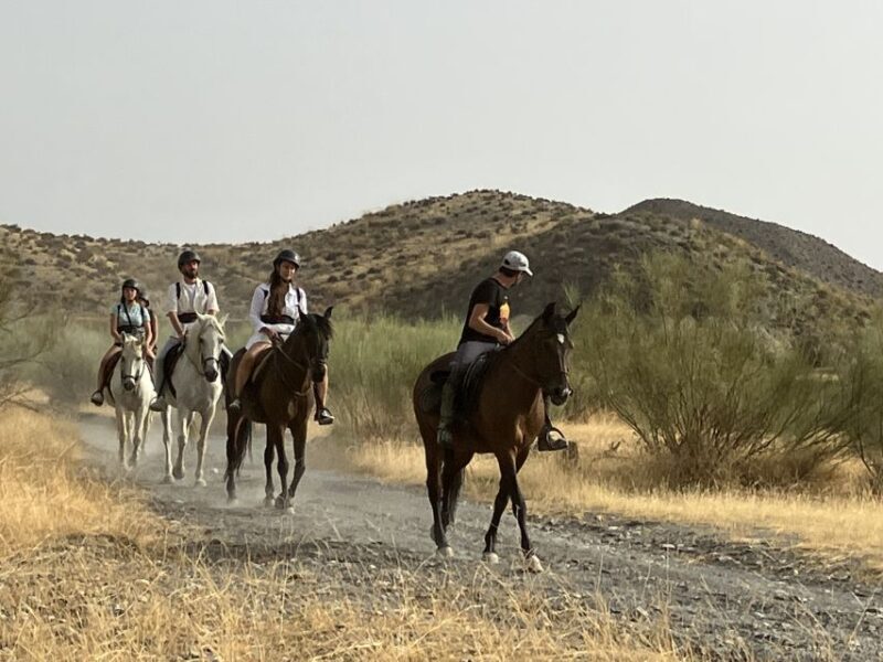 Almeria: Tabernas Desert Horse Riding for experienced riders - Authentic Experiences & Rider Feedback