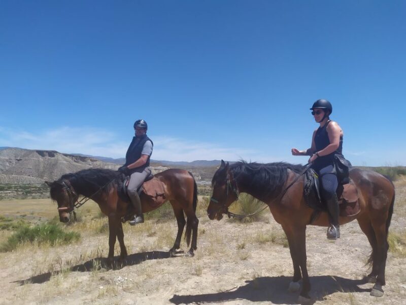 Almeria: Tabernas Desert Horse Riding for experienced riders - Final Thoughts: Who This Tour Suits Best