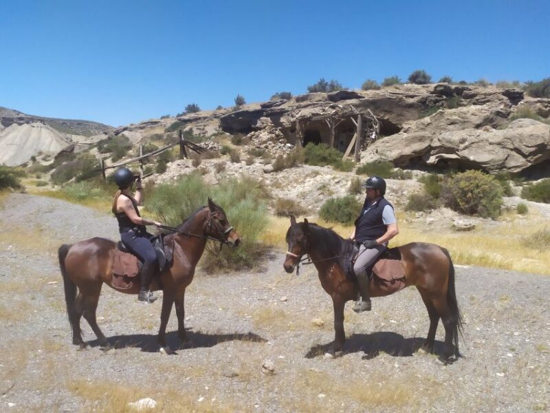 Almeria: Tabernas Desert Horse Riding for experienced riders - FAQ