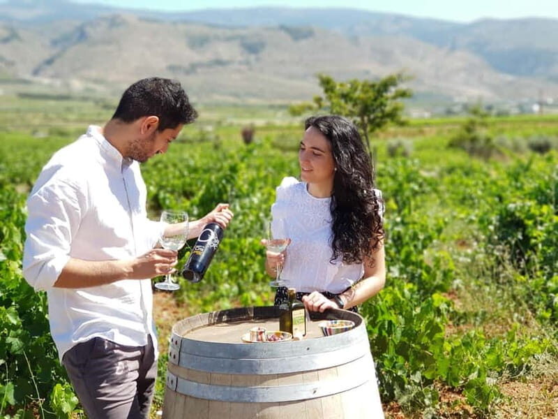 Almería: Wine tour and aperitif from La Alpujarra in Winery - Final Thoughts
