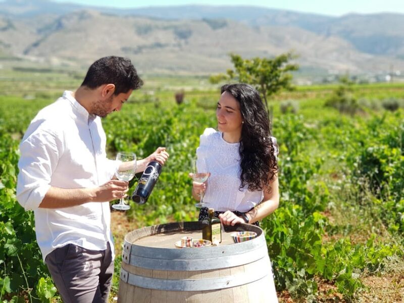 Almería: Wine tour and aperitif from La Alpujarra in Winery - Frequently Asked Questions