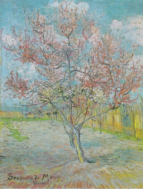 Almond Bloom Adventure: Nature's Art - Audio Driving Tour - What to Expect at Each Stop