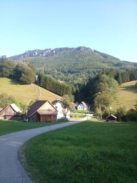 Alp Mountains Tour - Discovering the Alps: What this Tour Offers