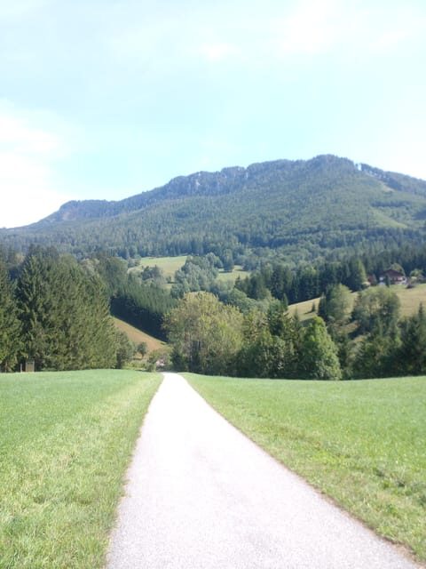 Alp Mountains Tour - Final Thoughts: Is the Alp Mountains Tour Right for You?