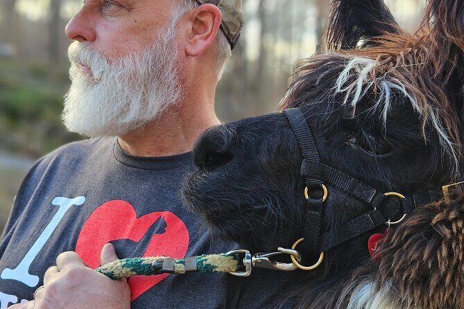 Alpaca and Llama Encounter with Guided Walk - FAQ