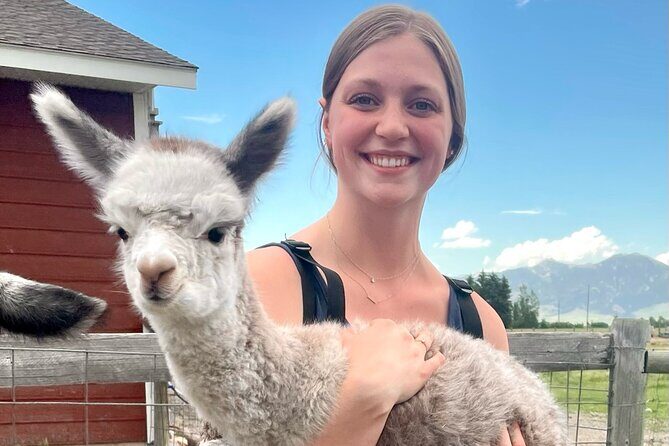 Alpaca and Llama Farm Tour - Key Points