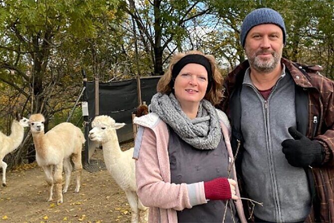 Alpaca and llama hike Moedling near Vienna - An In-Depth Look at the Alpaca and Llama Hike
