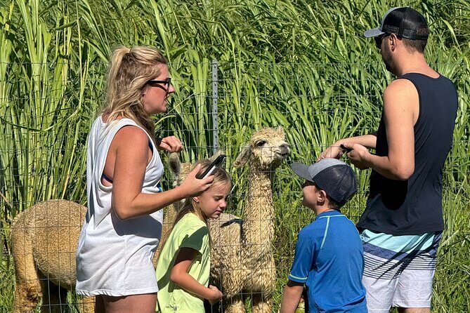Alpaca Farm Experience on the Road to Hana - Pricing & Value