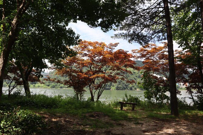 Alpaca, Nami, Petite Fr, Italian Village, Garden of Morning Calm - Introduction