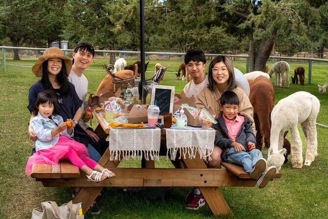 Alpaca Picnic Experience in Oregon - What the Picnic Entails: An Up-Close Alpaca Encounter