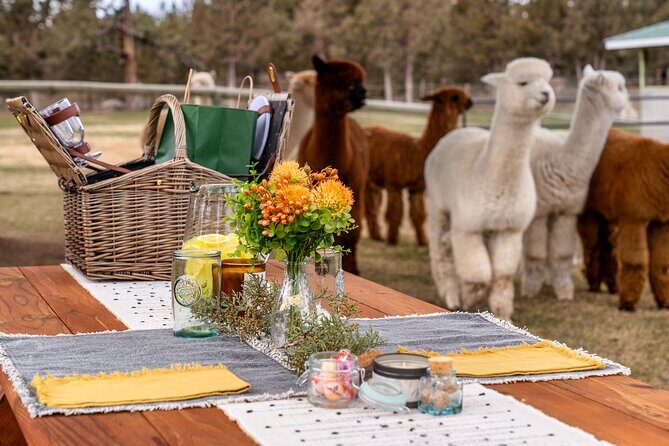 Alpaca Picnic Experience in Oregon - Who Will Enjoy This Experience?