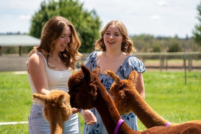 Alpaca Picnic Experience in Oregon - FAQ