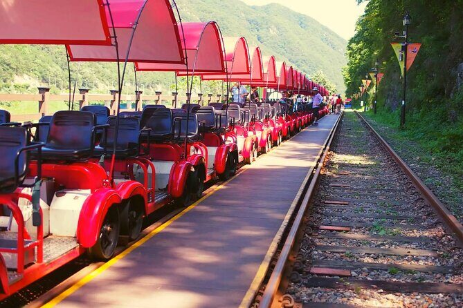 Alpaca World and Nami Island with Gangchon Rail Bike Tour - Authentic Experiences and Traveler Feedback