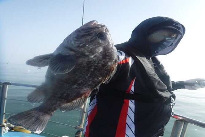 Alpaca World & Nami Island Private Tour - Who Should Consider This Tour?